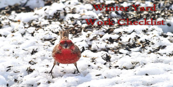 Winter Yard Work Checklist - Landscape Edging Blog